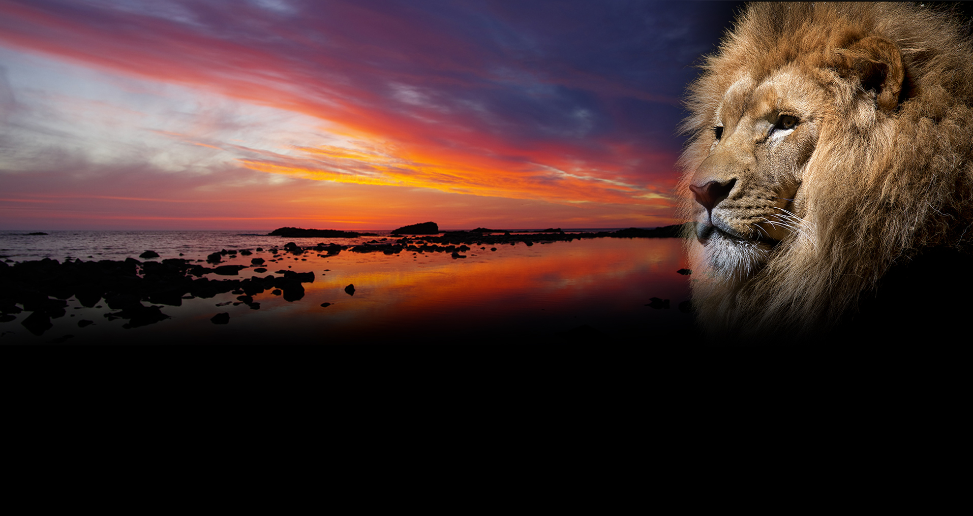 lioncenter | 留萌みなとライオンズクラブ